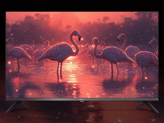 Xiaomi QLED TV FX Pro vs Xiaomi X Pro QLED 2025 (43-Inch) vs Xiaomi X ...