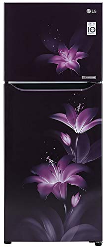 LG 260 L Frost Free Double Door 2 Star Refrigerator (GL T292SPGY) Price ...