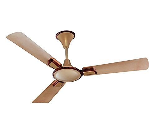 SilkAir Dafodil Ceiling Fan (Gold) Price in India, Specifications ...