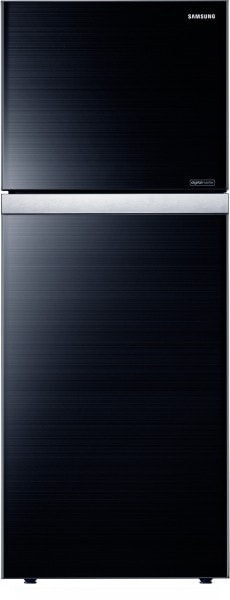Samsung 415 L Frost Free Double Door 4 Star Refrigerator (RT42HAUDELG ...