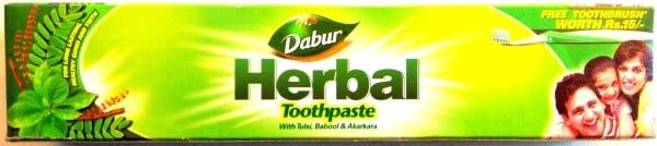 Dabur Herbal Toothpaste (100GM) Price in India, Specifications ...