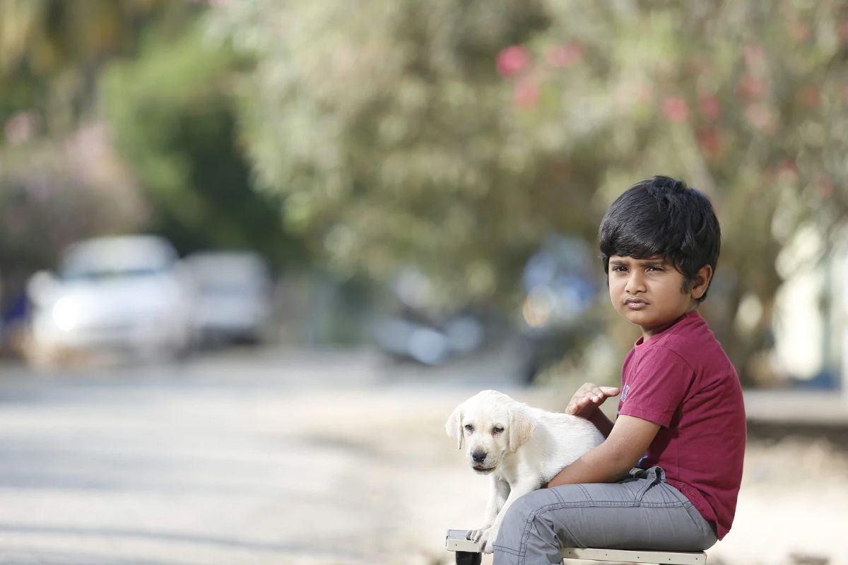 Bow Bow Movie (2019) | Release Date, Review, Cast, Trailer, Watch ...