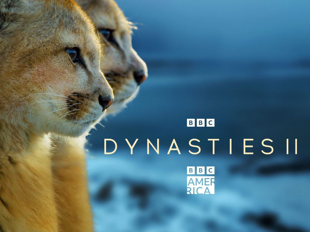 Dynasties II TV Series (2023) | Release Date, Review, Cast, Trailer ...