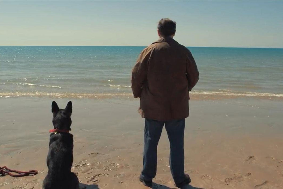 After Life Season 1 Web Series (2019) | Release Date, Review, Cast ...