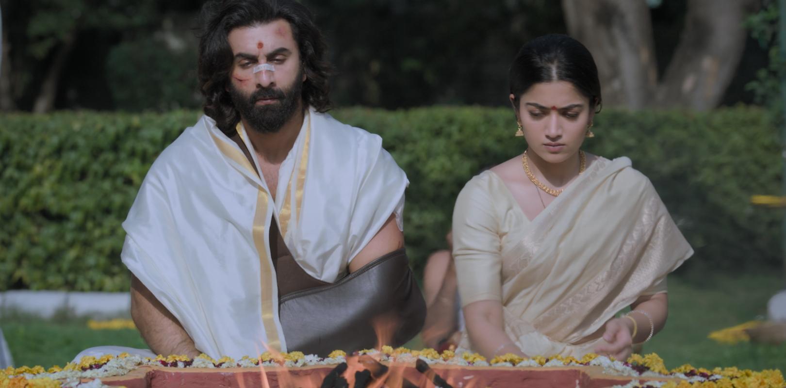 Animal Movie (2023) | Release Date, Review, Cast, Trailer, Watch Online ...