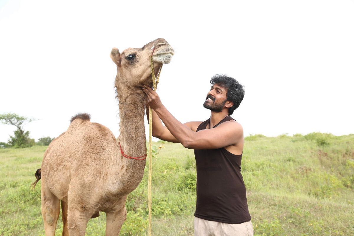 Bakrid Movie (2019) | Release Date, Review, Cast, Trailer, Watch Online ...