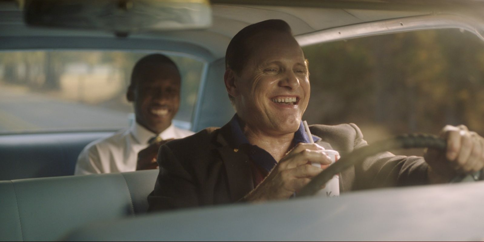 Green Book Movie (2018) | Release Date, Review, Cast, Trailer, Watch Online at Lionsgate Play ...