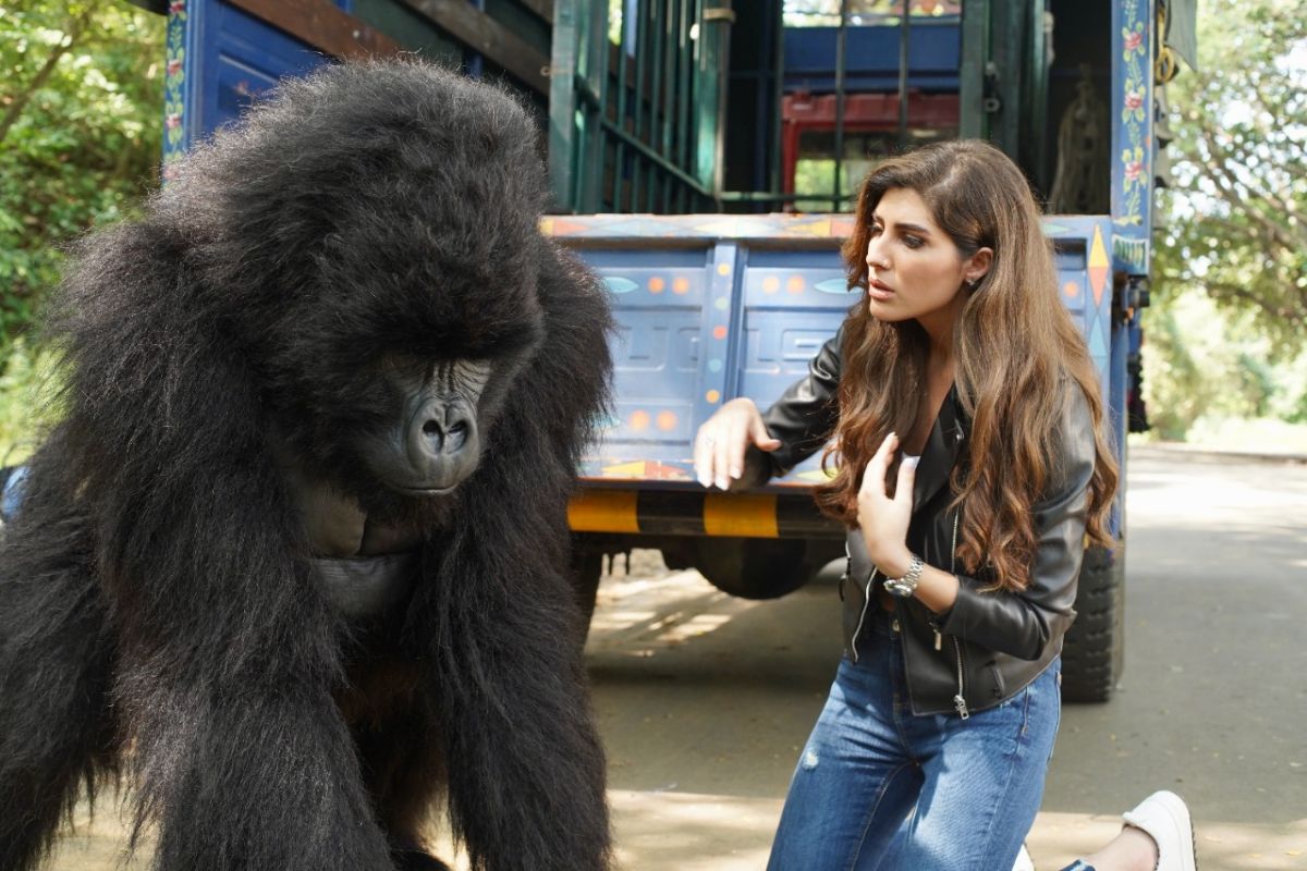 Hello Charlie Movie (2021) | Release Date, Review, Cast, Trailer, Watch ...