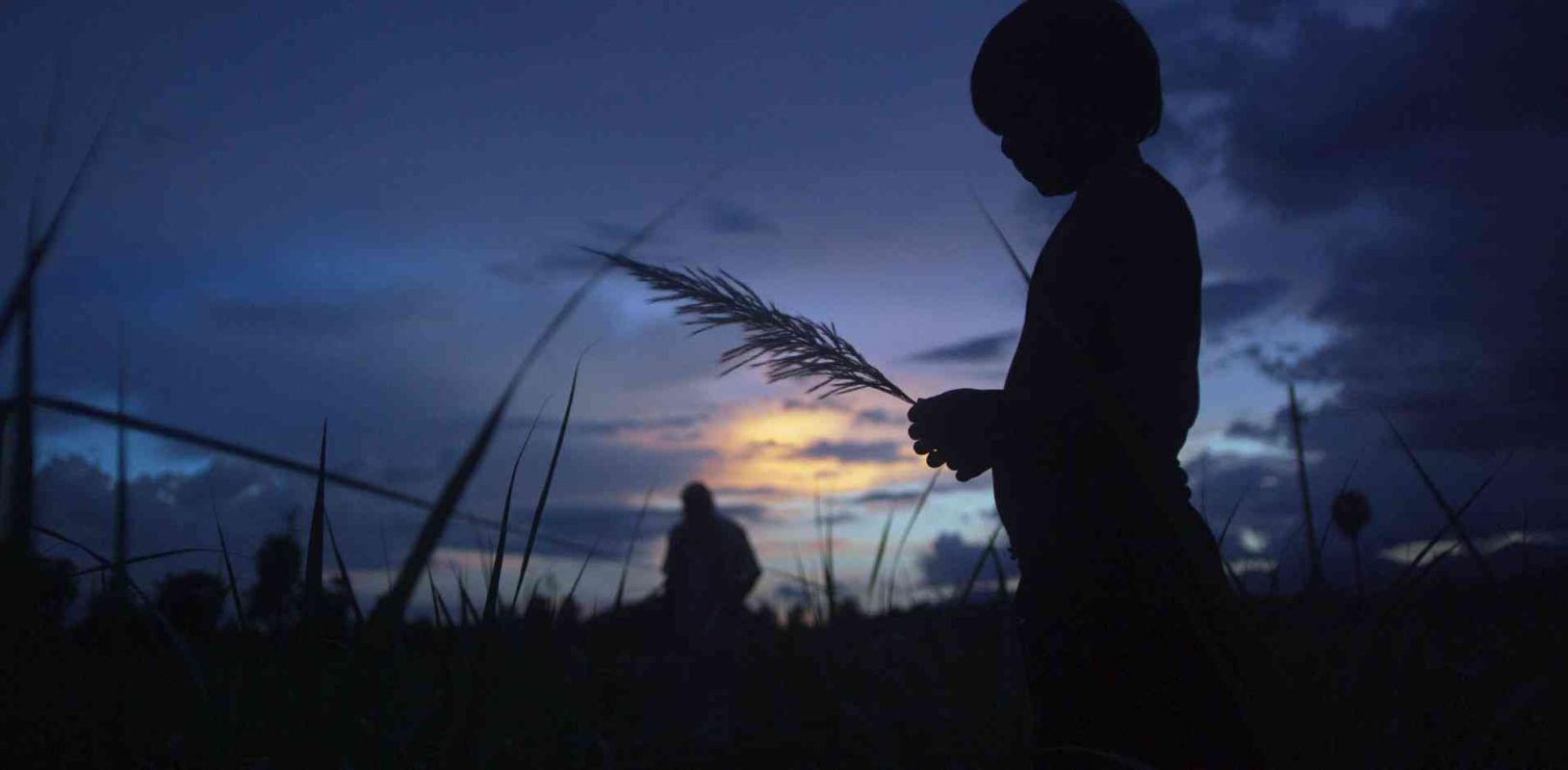 K.D. Movie (2019) | Release Date, Review, Cast, Trailer, Watch Online ...