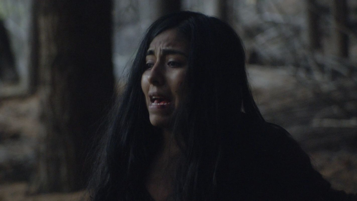 Lakadbaggha Movie (2023) | Release Date, Review, Cast, Trailer, Watch ...