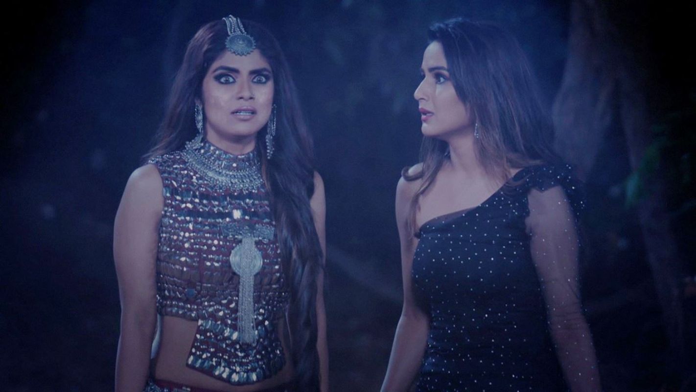 Naagin Season 4 Web Series (2019) | Release Date, Review, Cast, Trailer ...