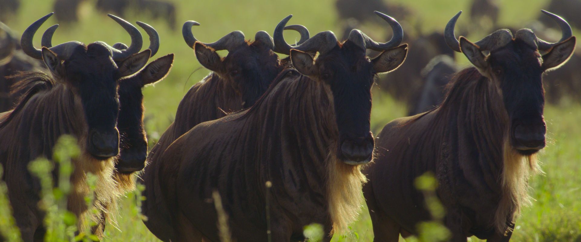 Our Universe TV Series (2022) | Release Date, Review, Cast, Trailer ...