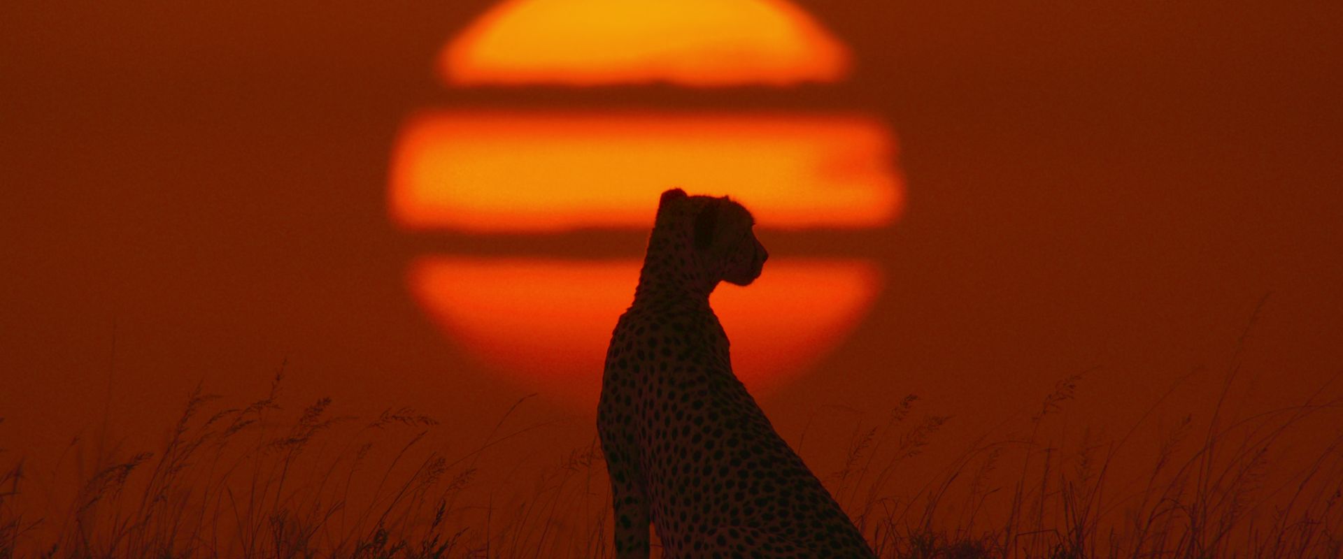 Our Universe TV Series (2022) | Release Date, Review, Cast, Trailer ...