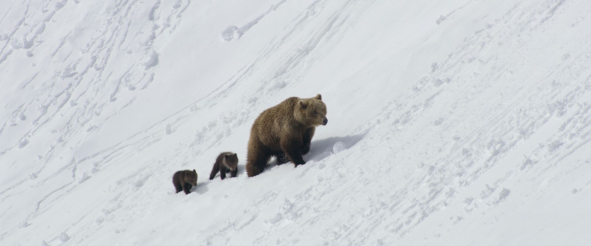 Our Universe TV Series (2022) | Release Date, Review, Cast, Trailer ...