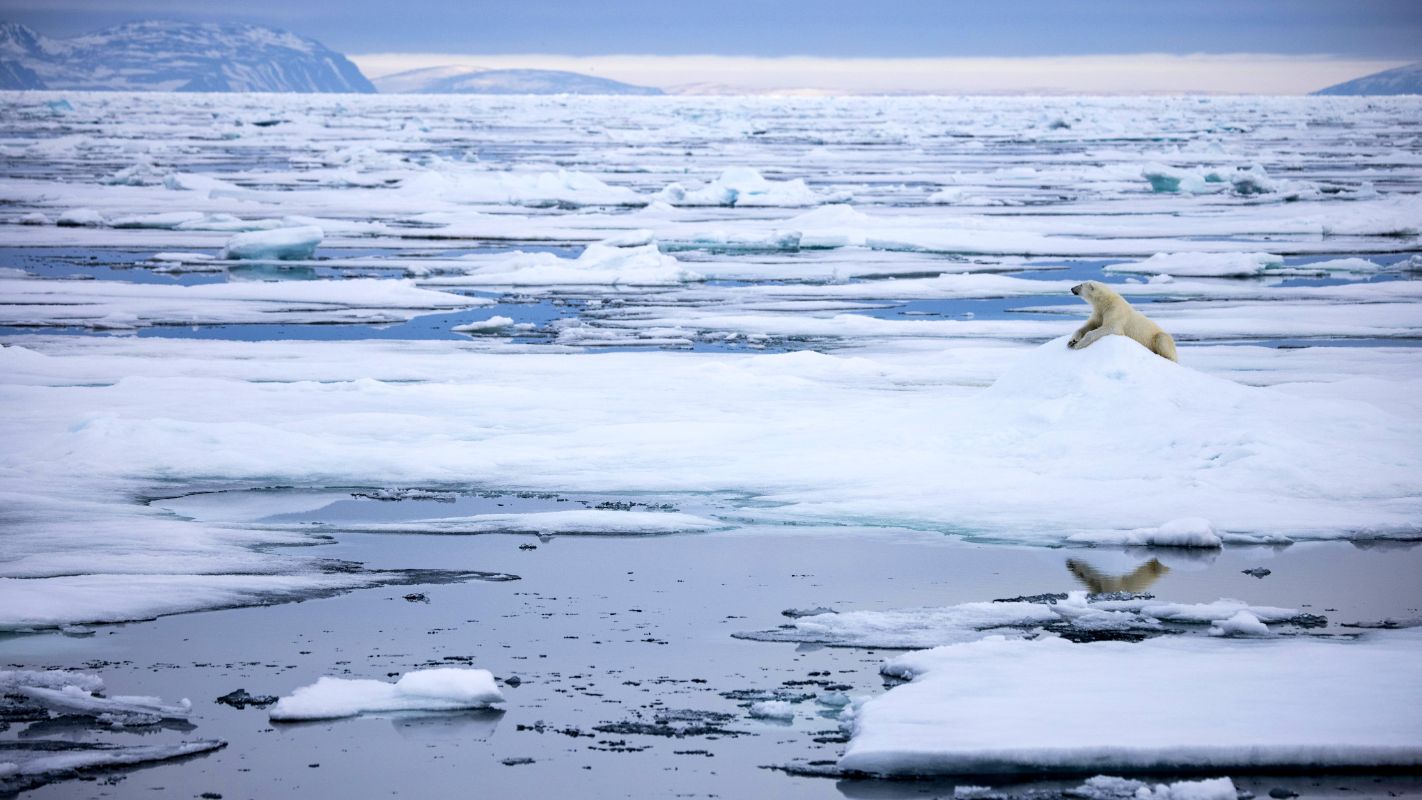 Our Planet II TV Series (2023) | Release Date, Review, Cast, Trailer ...