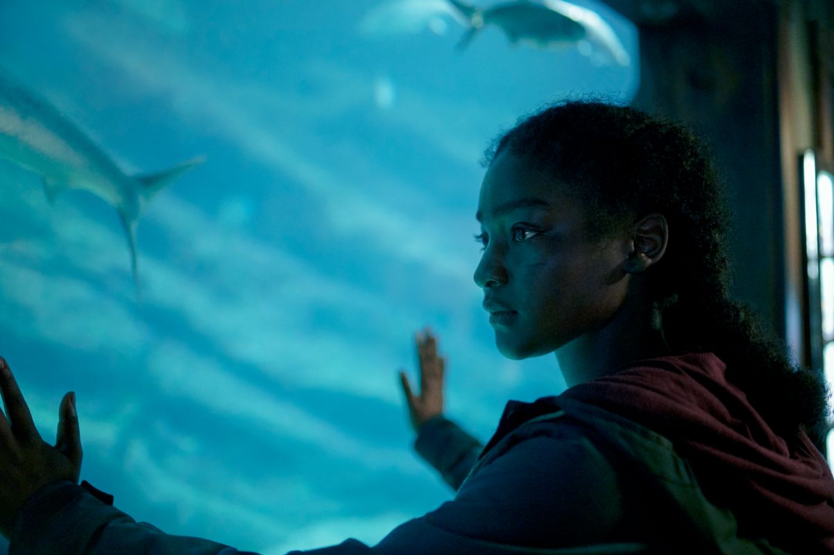 The Power TV Series (2023) | Release Date, Review, Cast, Trailer, Watch Online at Amazon Prime ...