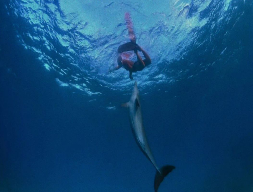 The Last Dolphin King Movie (2022) | Release Date, Review, Cast ...