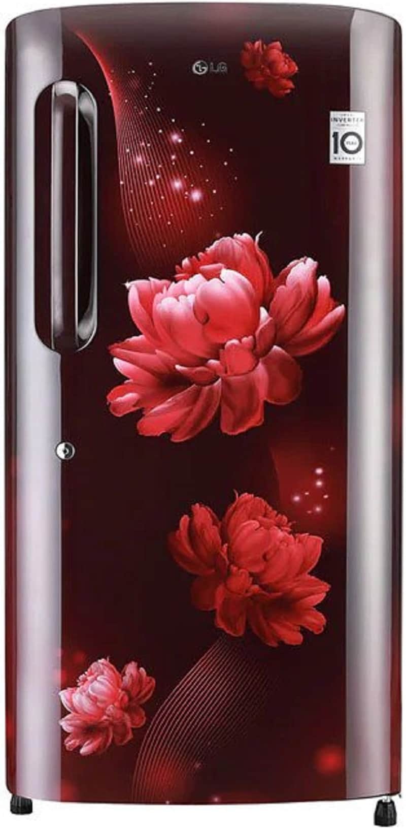 LG 215 L Direct Cool Single Door 5 Star Refrigerator (GL B221ASCZ ...