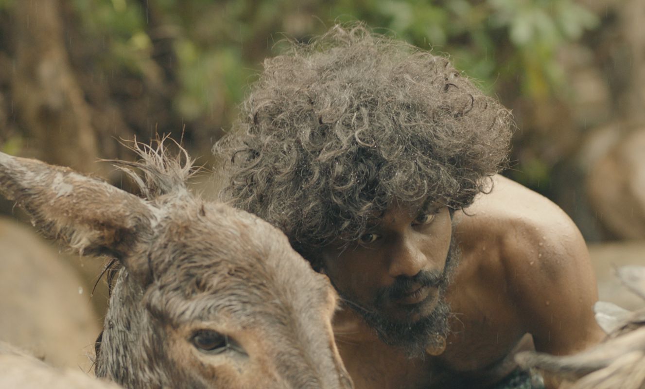 Maadathy Movie (2021) | Release Date, Review, Cast, Trailer, Watch Online at Amazon Prime Video ...