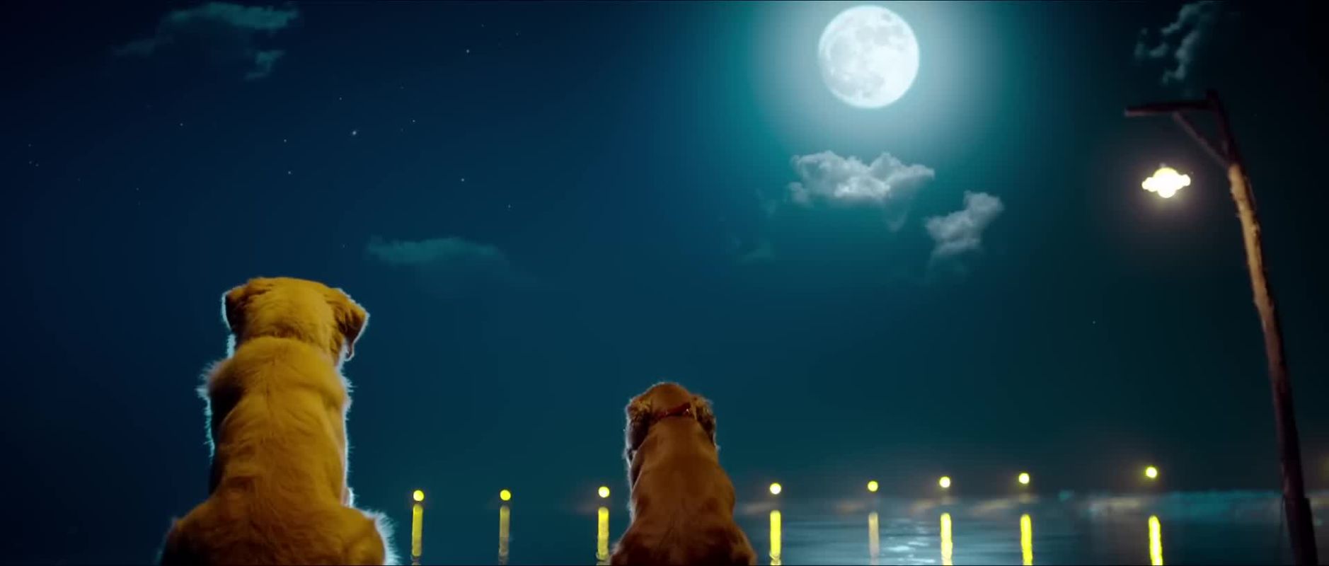 Valatty Movie (2023) | Release Date, Review, Cast, Trailer, Watch ...