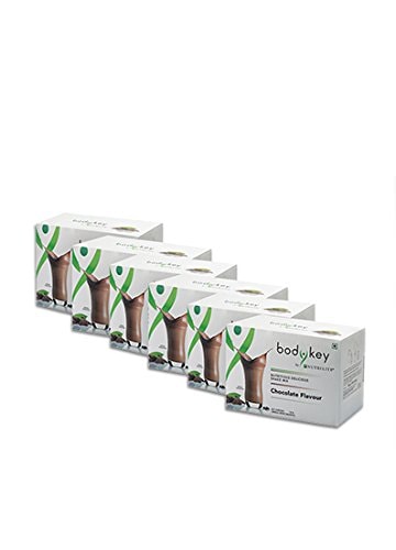 Amway Nutrilite Body Key Nutritious Delicious Shake (Chocolate, 420GM ...