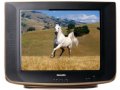 Philips 14 Inch CRT TV (14PT3626) Online at Lowest Price in India
