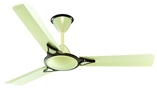 Trishul Tulip Ceiling Fan (Ivory) Price in India, Specifications ...