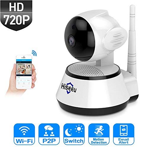 Hiseeu Wireless Smart HD Wifi CCTV Security Camera Price in India ...